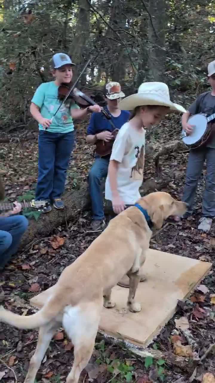 polygamous alert legitimate