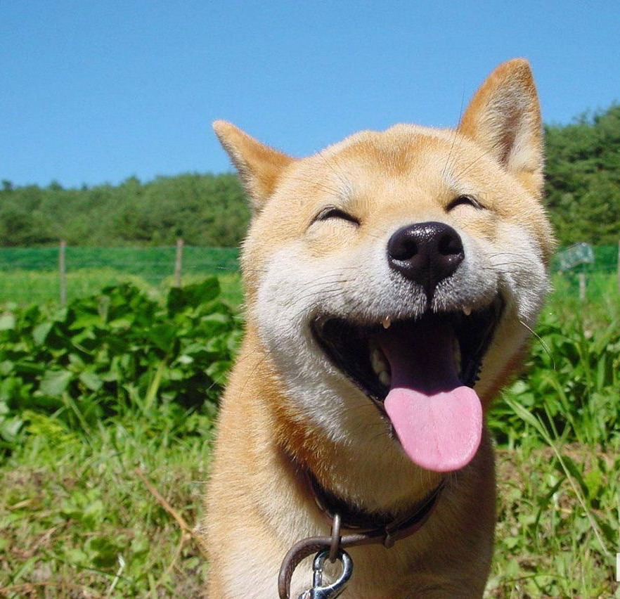 indomitable strengthened original