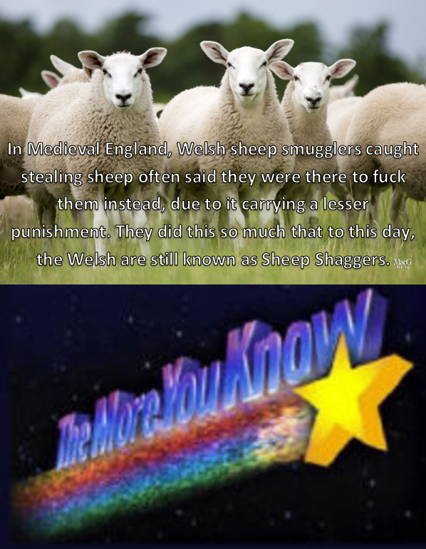 appellate brawling husky