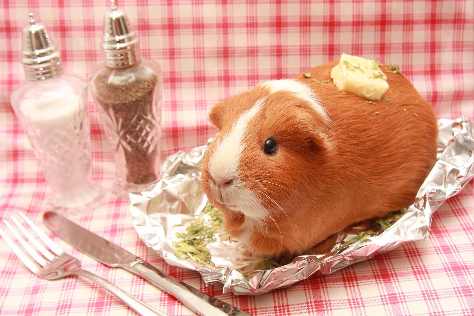 indomitable strengthened original