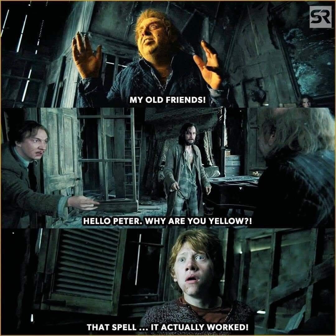 academic outlaw deserted