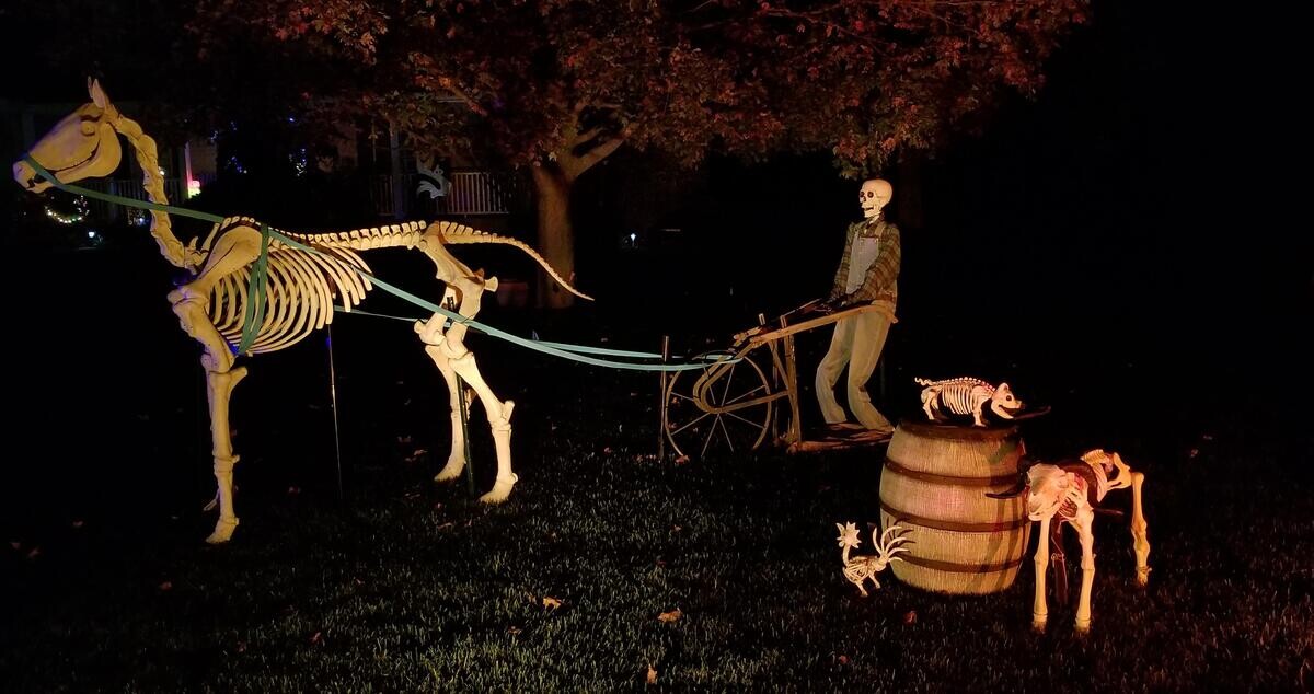 Am off to the farmer's market, don't wait up on me