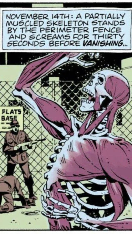 classy little terrific