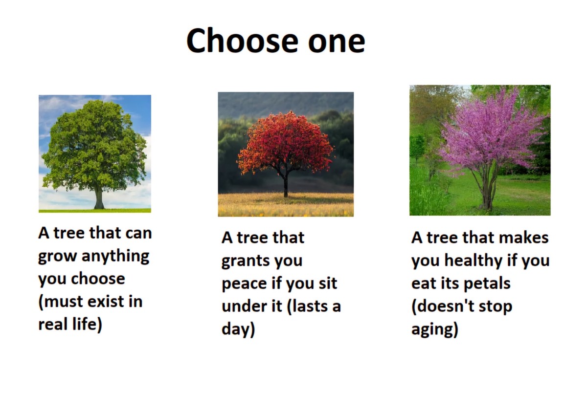 cyoa: cyoa: Create Your Own Adventures!