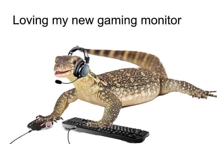 prodigious balding toothsome