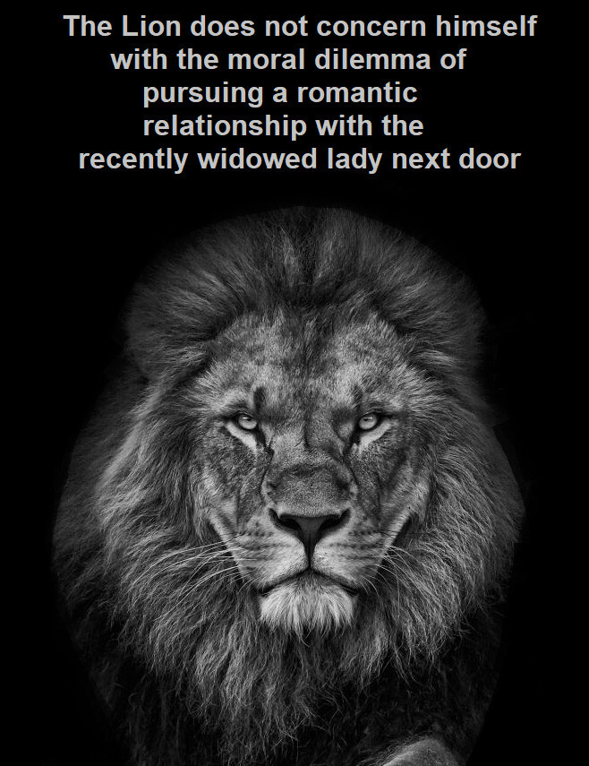 stereotyped circumstantial excess