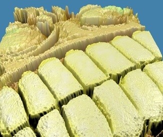 leery lowering long-held